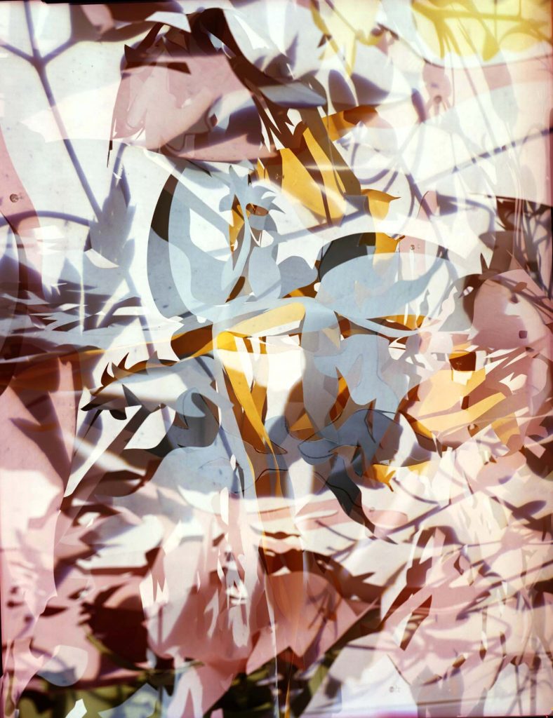 Jessica Labatte – Western Exhibitions