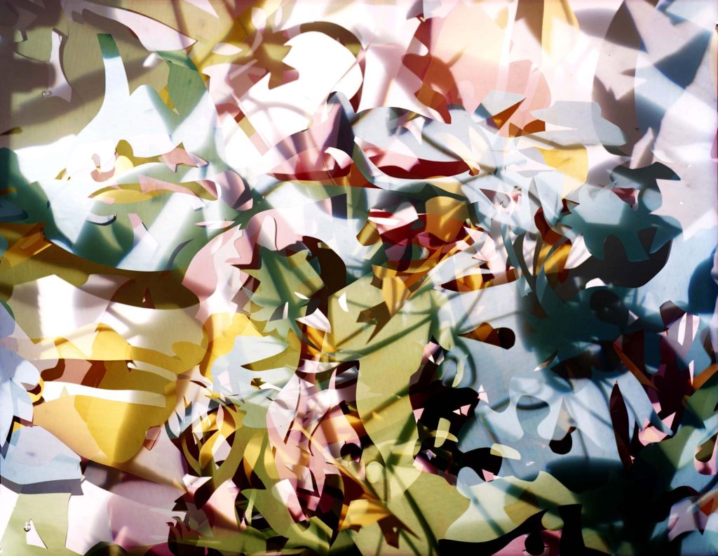 Jessica Labatte – Western Exhibitions