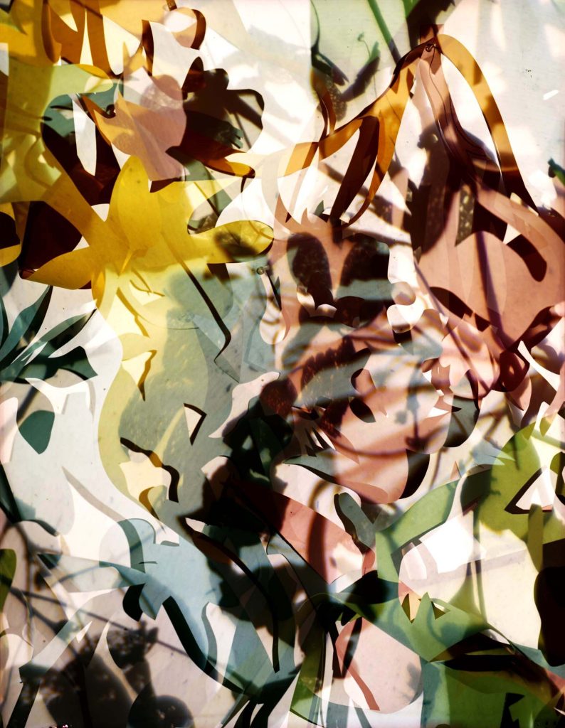 Jessica Labatte – Western Exhibitions