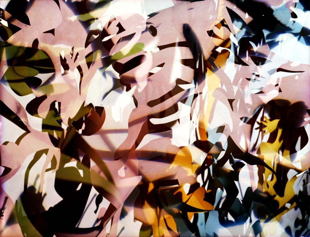 Jessica Labatte – Western Exhibitions